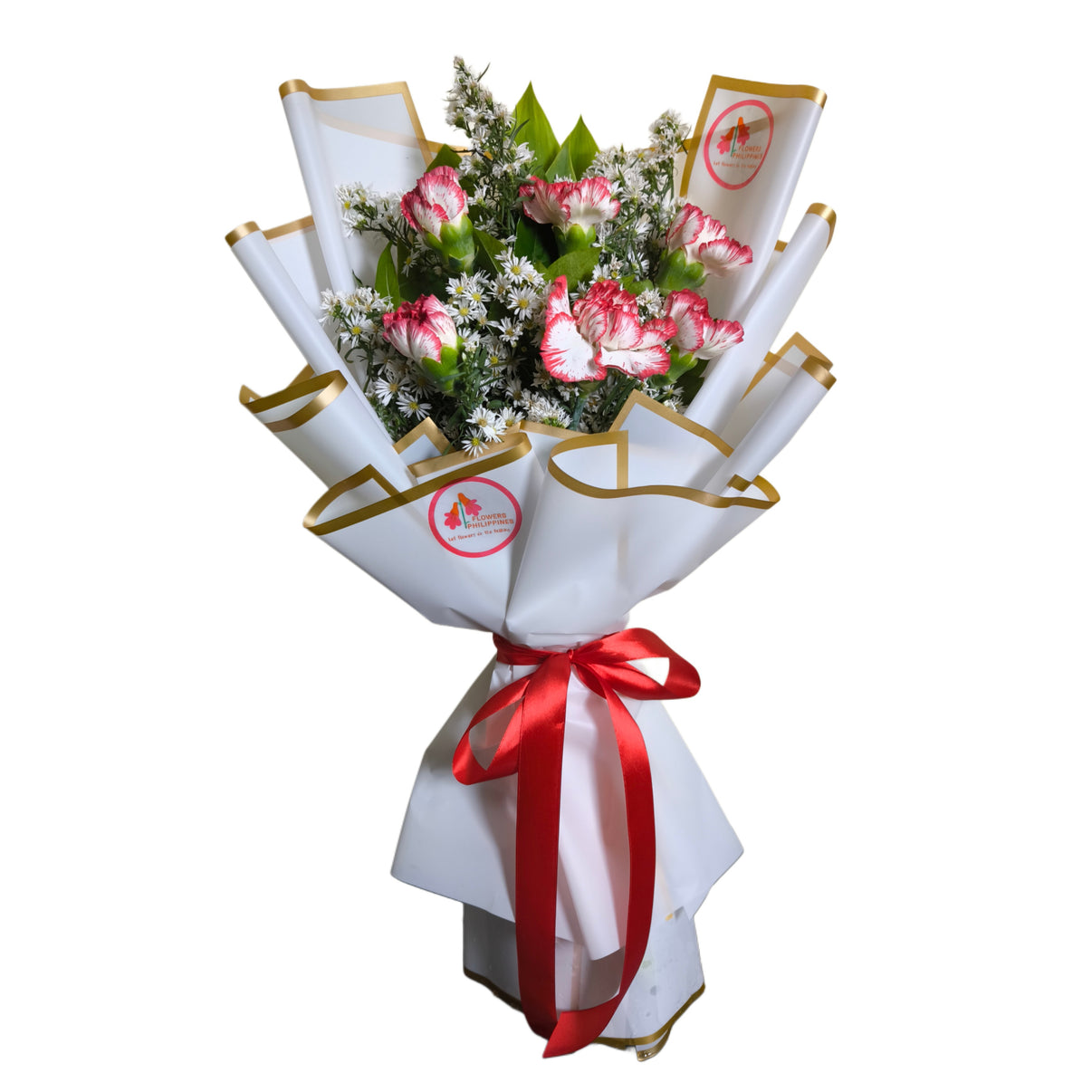 Two Tone Carnation – Flowers Manila